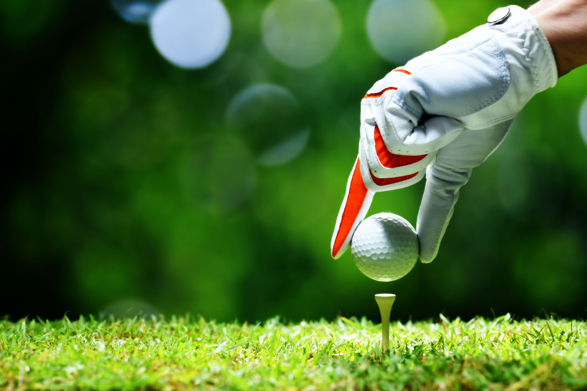 Stingers Indoor Golf - Virtual Golf